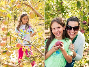 Rhode Island Tradition | Apple Picking in fall - Lisa Frechette ...
